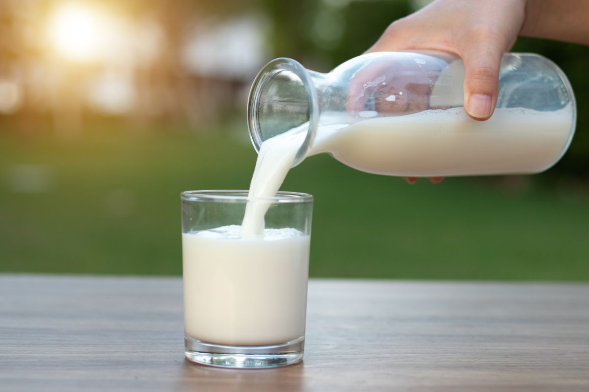 How To Make Milk In Little Alchemy 1 And 2 Alkridge